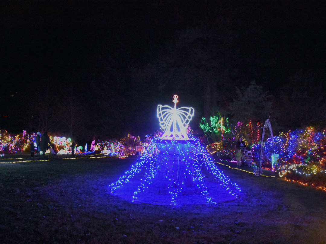 2025年1月Azalea Park景点攻略-Azalea Park门票预订|地址|图片-Azalea Park景点点评-猫途鹰