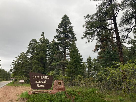 2023年11月San Isabel National Forest景点攻略-San Isabel National Forest门票预订 ...