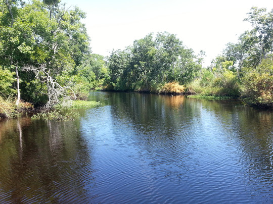 2023年12月Ringhaver Park/Ortega River Nature Preserve景点攻略-Ringhaver Park ...