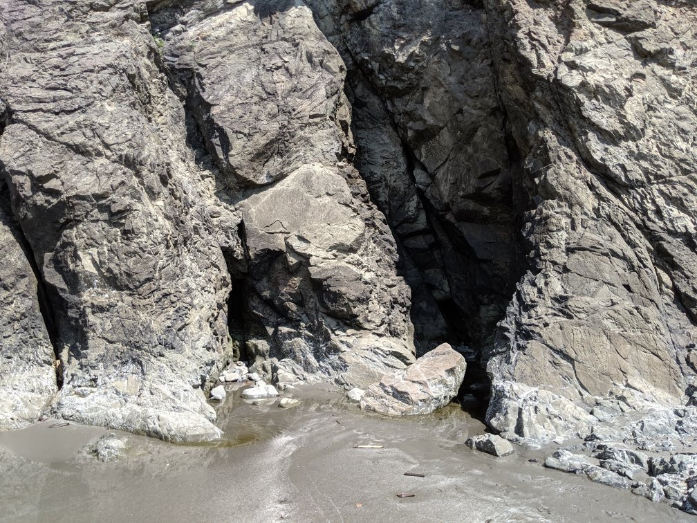 2023年11月Second Beach Trail景点攻略-Second Beach Trail门票预订|地址|图片-Second ...