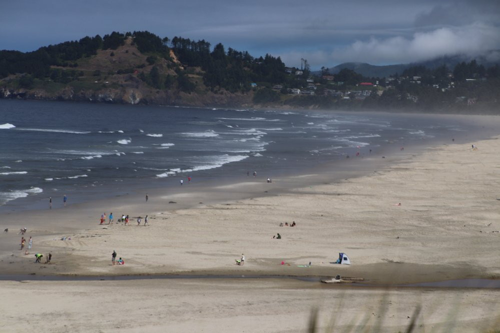 2023年12月Nye Beach景点攻略-Nye Beach门票预订|地址|图片-Nye Beach景点点评-猫途鹰