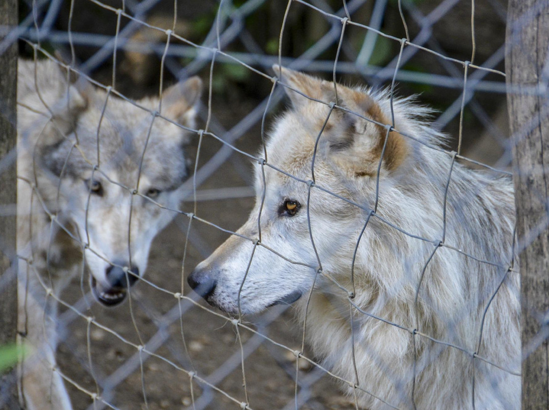 2025年12月Ernstbrunn景点攻略-Ernstbrunn旅游必去景点-Ernstbrunn景点大全-猫途鹰