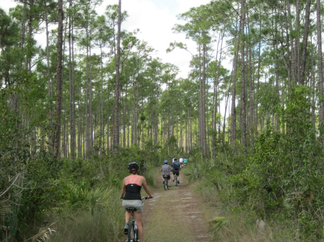 2025年12月Long Pine Key景点攻略-Long Pine Key门票预订|地址|图片-Long Pine Key景点点评-猫途鹰