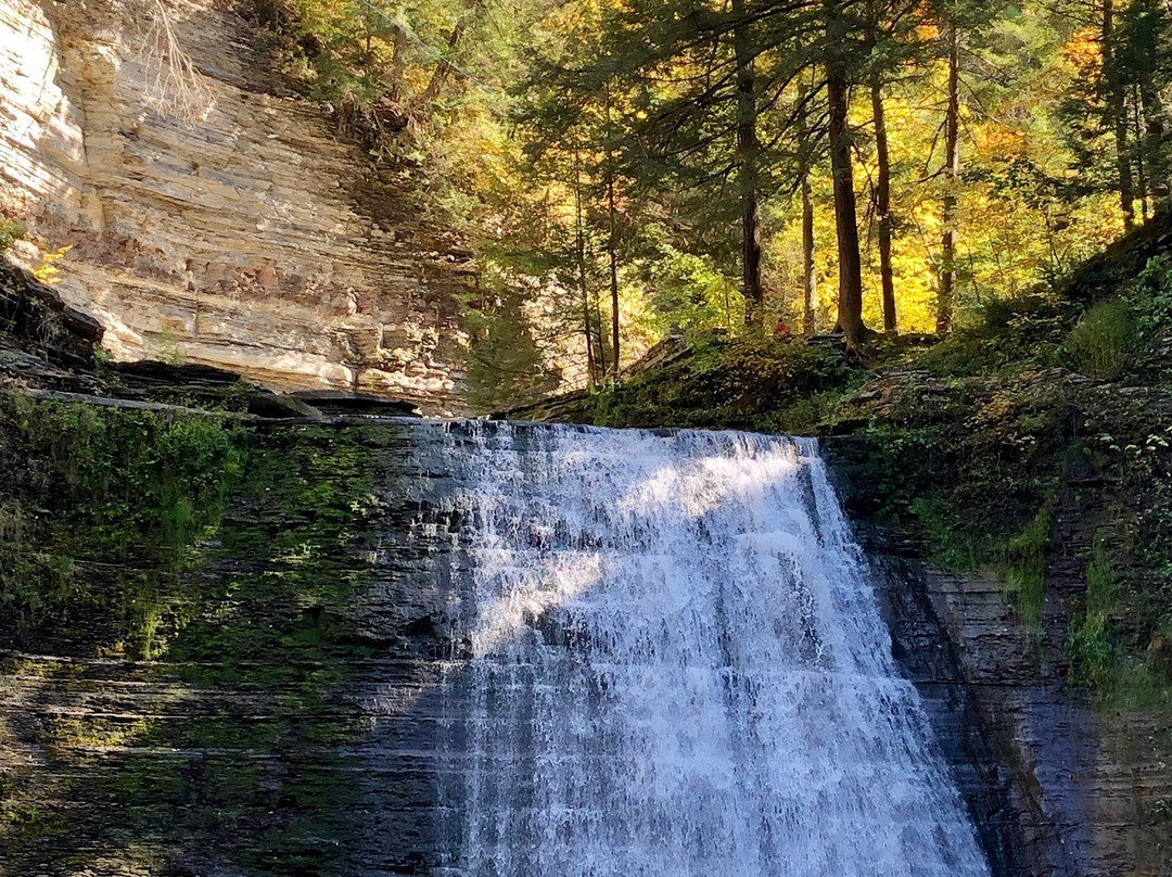 2024年7月Stony Brook State Park景点攻略-Stony Brook State Park门票预订|地址|图片 ...