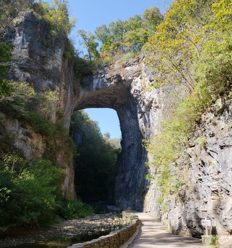 2023年12月Natural Bridge State Park景点攻略-Natural Bridge State Park门票预订|地址 ...