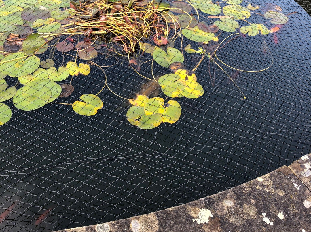 2024年11月Sandwell Park Farm景点攻略-Sandwell Park Farm门票预订|地址|图片-Sandwell ...