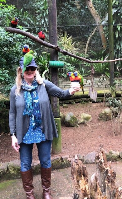 2024年11月Umgeni River Bird Park景点攻略-Umgeni River Bird Park门票预订|地址|图片 ...