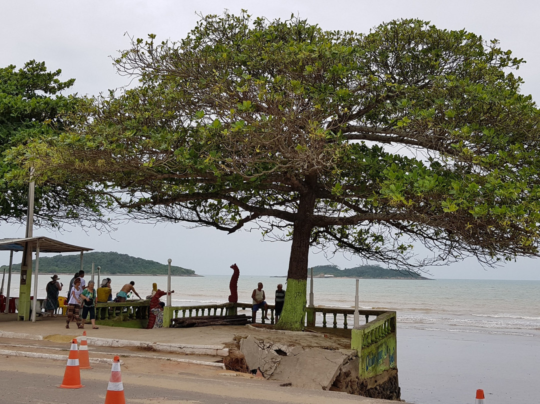 2024年1月Praia de Piúma景点攻略-Praia de Piúma门票预订|地址|图片-Praia de Piúma景点点评-猫途鹰