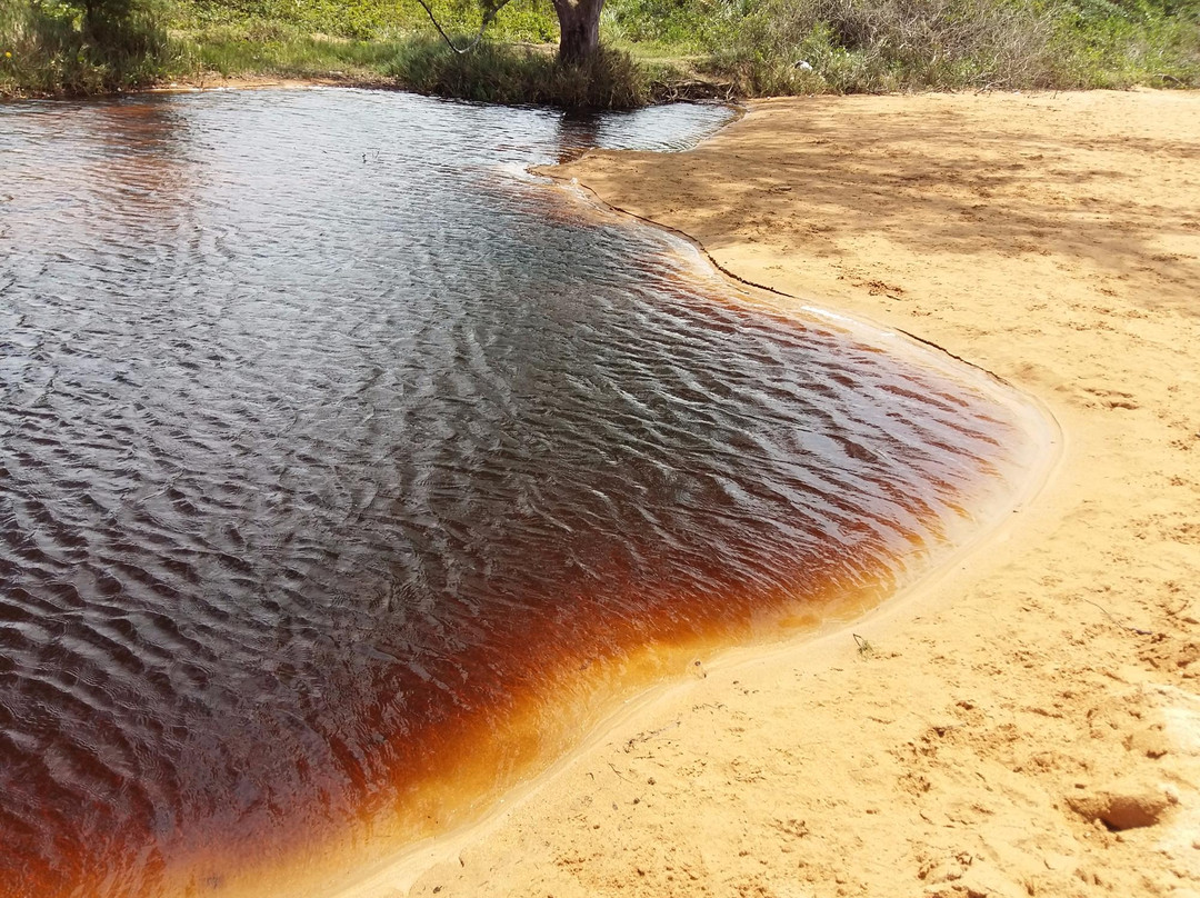 2023年12月Saue Beach景点攻略-Saue Beach门票预订|地址|图片-Saue Beach景点点评-猫途鹰