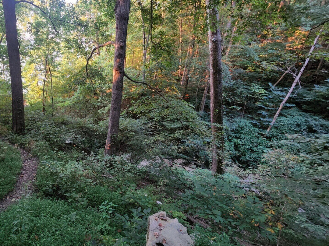 2025年3月Buzzard Roost Recreation Area景点攻略-Buzzard Roost Recreation Area ...