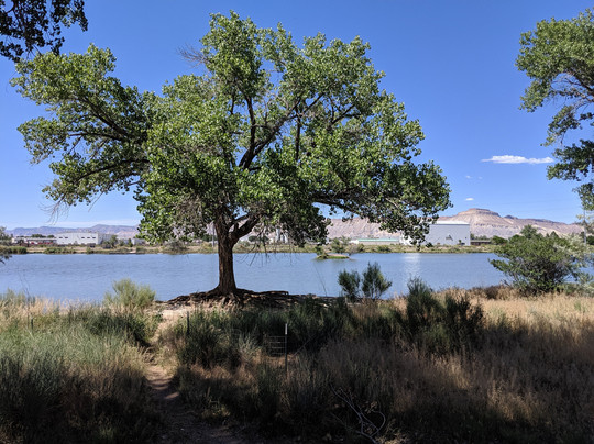 2024年11月James M. Robb - Colorado River State Park景点攻略-James M. Robb ...