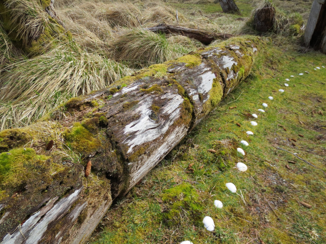 2025年9月Daajing Giids景点攻略-Daajing Giids旅游必去景点-Daajing Giids景点大全-猫途鹰
