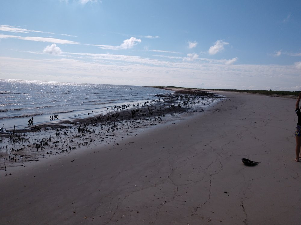 2023年11月Pickering Beach景点攻略-Pickering Beach门票预订|地址|图片-Pickering Beach景点 ...