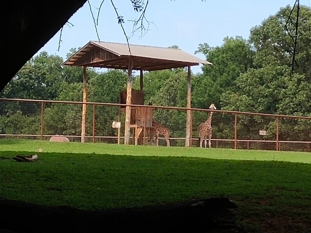 2023年12月The Lazy 5 Ranch景点攻略-The Lazy 5 Ranch门票预订|地址|图片-The Lazy 5 ...