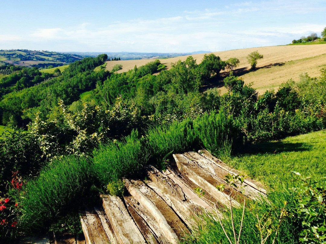2023年Sant'Angelo In Pontano旅游攻略 - 8Sant'Angelo In Pontano酒店/景点/门票/美食/自助 ...