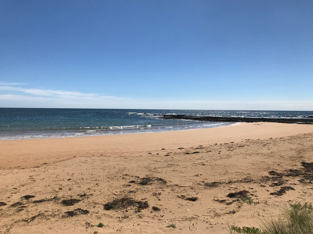 2023年11月Johnsons Beach景点攻略-Johnsons Beach门票预订|地址|图片-Johnsons Beach景点点评-猫途鹰