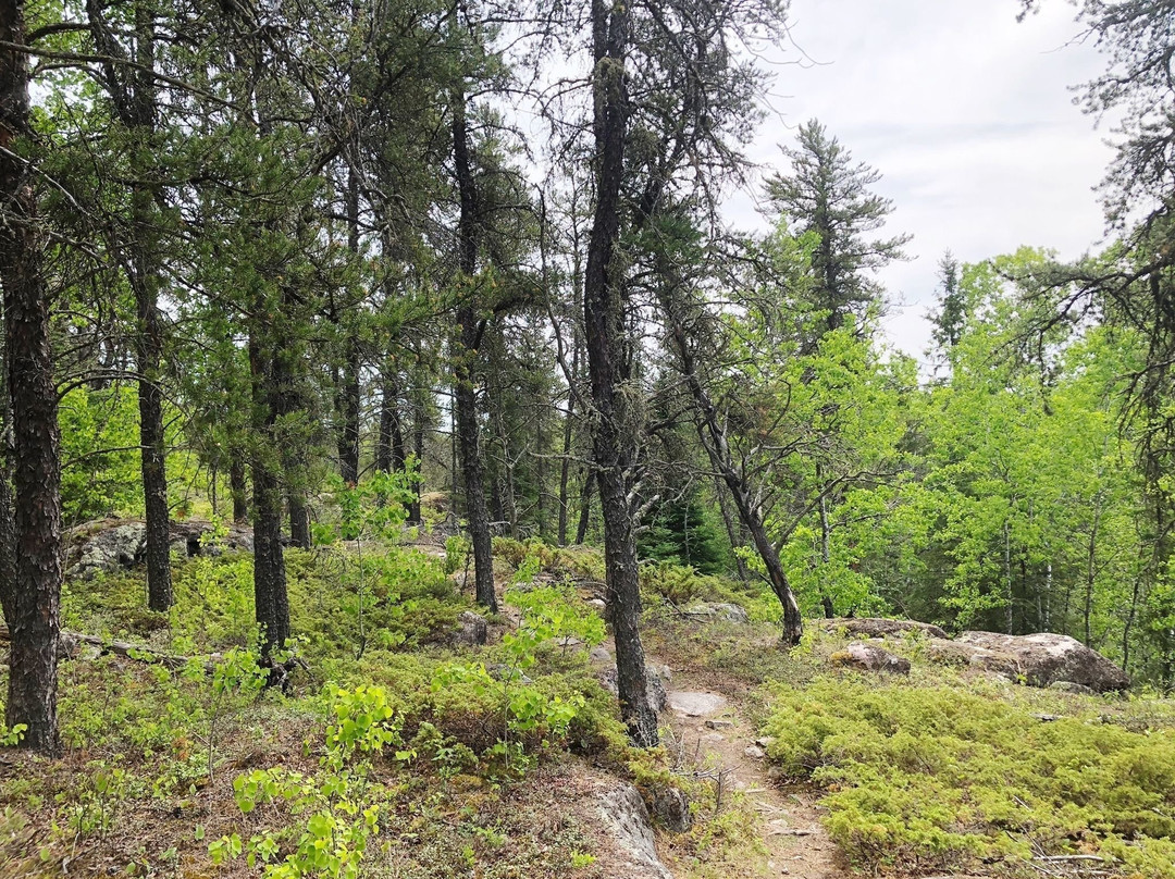 2024年10月Whiteshell Provincial Park景点攻略-Whiteshell Provincial Park门票预订 ...