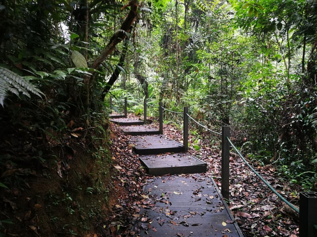 2023年11月Hemmant Trail景点攻略-Hemmant Trail门票预订|地址|图片-Hemmant Trail景点点评-猫途鹰