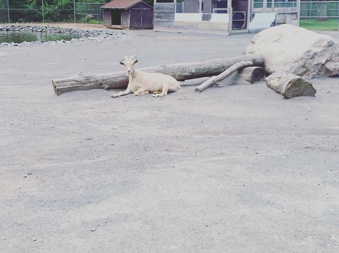 2025年1月Merrill Park景点攻略-Merrill Park门票预订|地址|图片-Merrill Park景点点评-猫途鹰