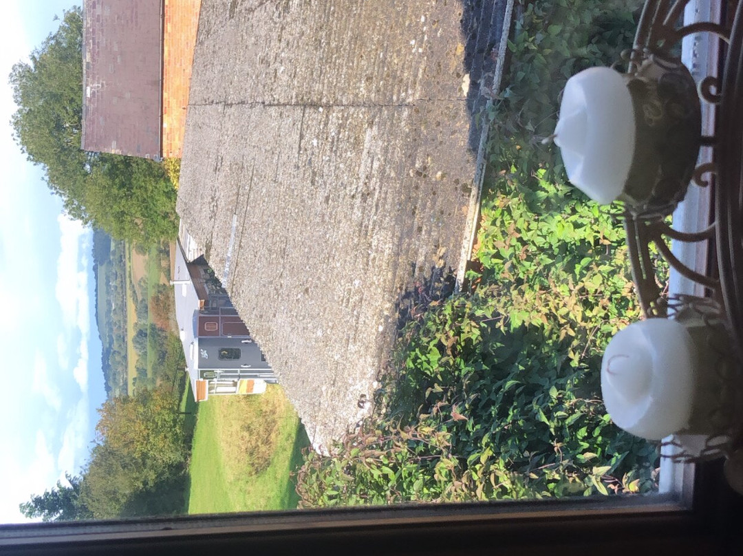 2025年2月Lower Catesby旅游景点攻略-Lower Catesby旅游住宿,-Lower Catesby旅游美食-猫途鹰