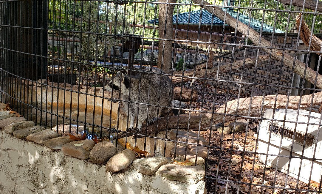 2023年11月Mill Mountain Zoo景点攻略-Mill Mountain Zoo门票预订|地址|图片-Mill Mountain ...