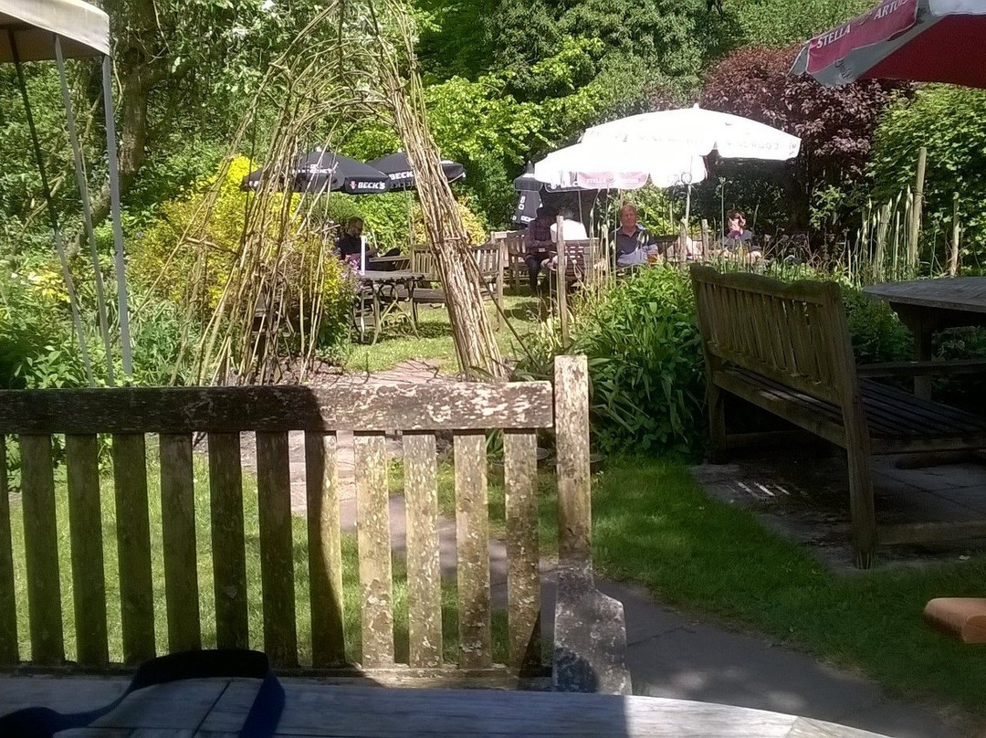 The Harrow Inn - (Steep)餐厅/美食点评 - 餐厅地址/餐厅电话/餐厅周边信息/餐厅推荐菜 - Tripadvisor猫途鹰