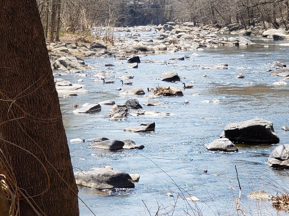 2023年11月Patapsco Valley State Park景点攻略-Patapsco Valley State Park门票预订 ...