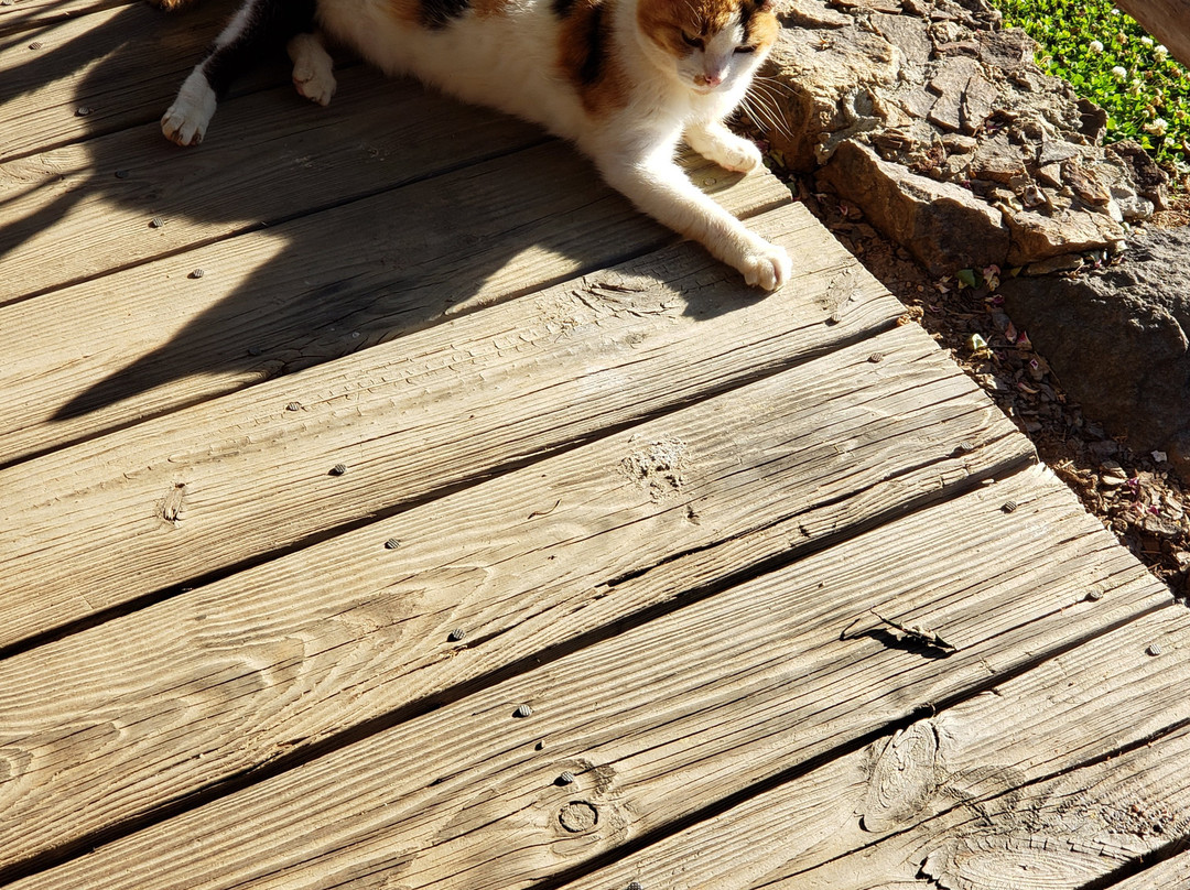 2023年12月The Lazy 5 Ranch景点攻略-The Lazy 5 Ranch门票预订|地址|图片-The Lazy 5 ...