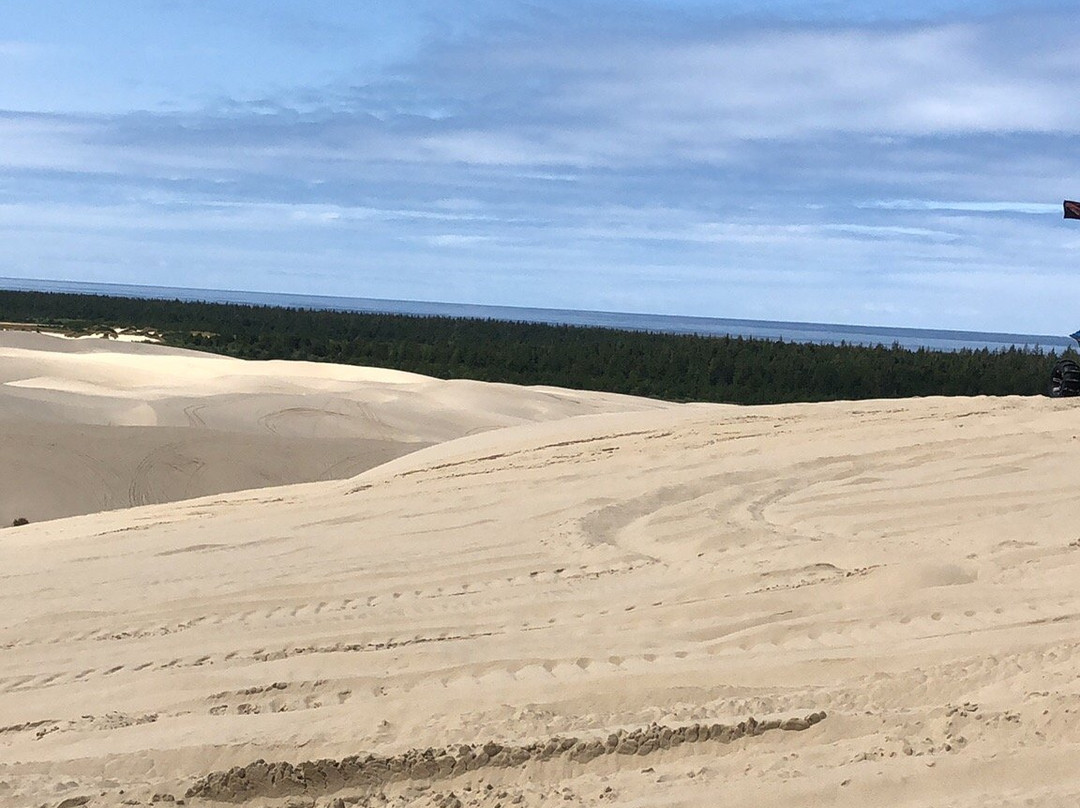 2023年11月Oregon Dunes National Recreation Area景点攻略-Oregon Dunes National ...