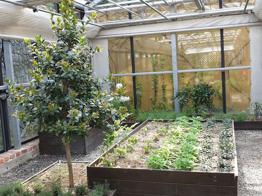 2023年11月Jade Garden Natural Arboretum景点攻略-Jade Garden Natural Arboretum ...