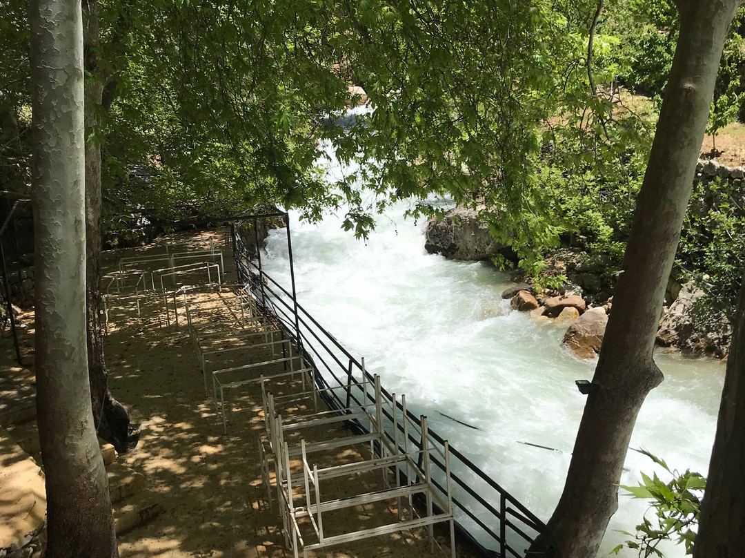 2025年11月Afqa旅游景点攻略-Afqa旅游住宿,-Afqa旅游美食-猫途鹰