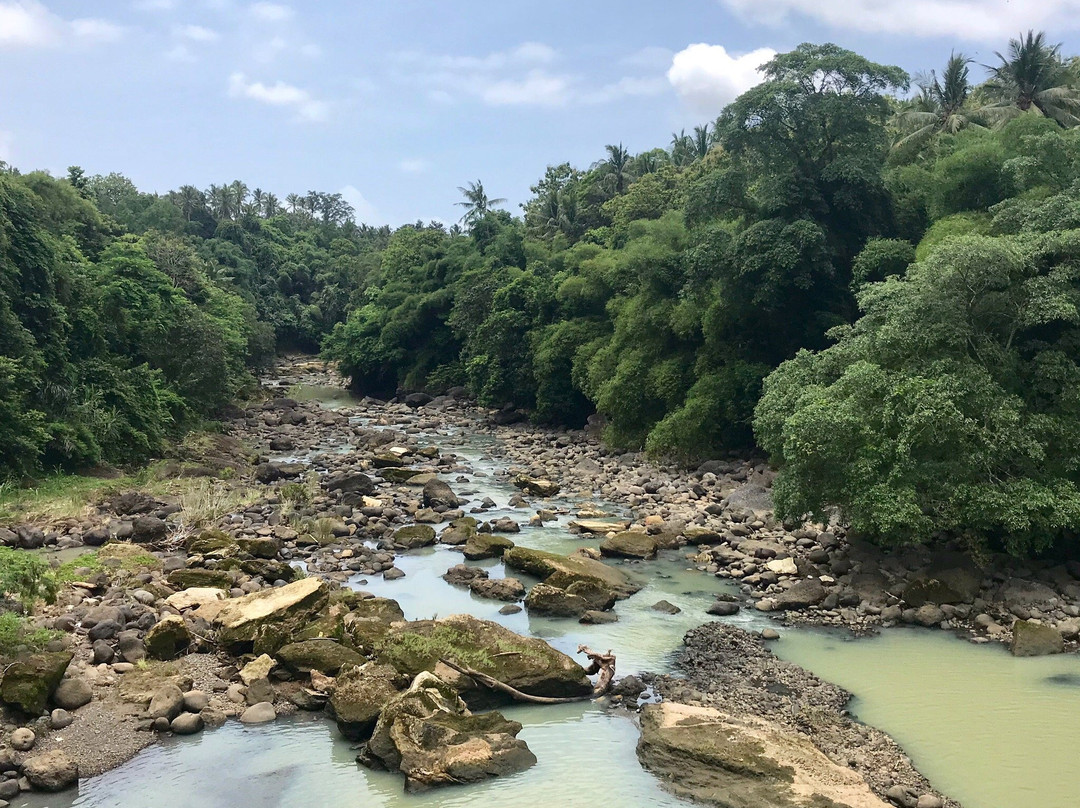 2024年11月Bali Rice Padi景点攻略-Bali Rice Padi门票预订|地址|图片-Bali Rice Padi景点点评-猫途鹰