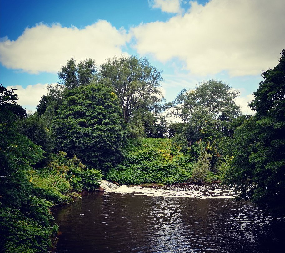 2024年10月Clifton Country Park景点攻略-Clifton Country Park门票预订|地址|图片-Clifton ...