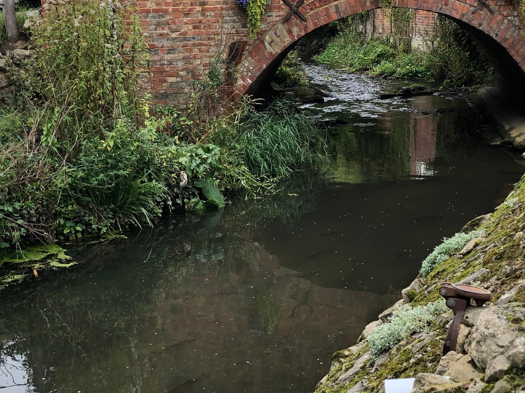 The Man Of Kent - (East Peckham)餐厅/美食点评 - 餐厅地址/餐厅电话/餐厅周边信息/餐厅推荐菜 ...