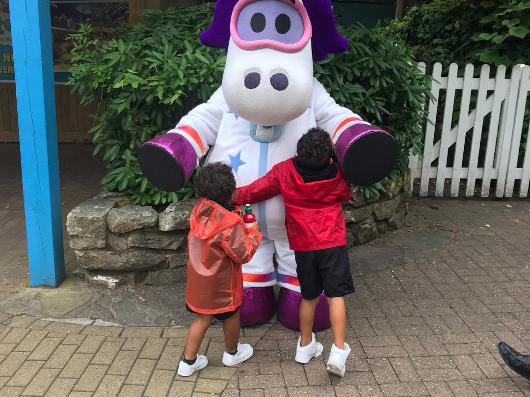 2023年11月Cbeebies Land景点攻略-Cbeebies Land门票预订|地址|图片-Cbeebies Land景点点评-猫途鹰