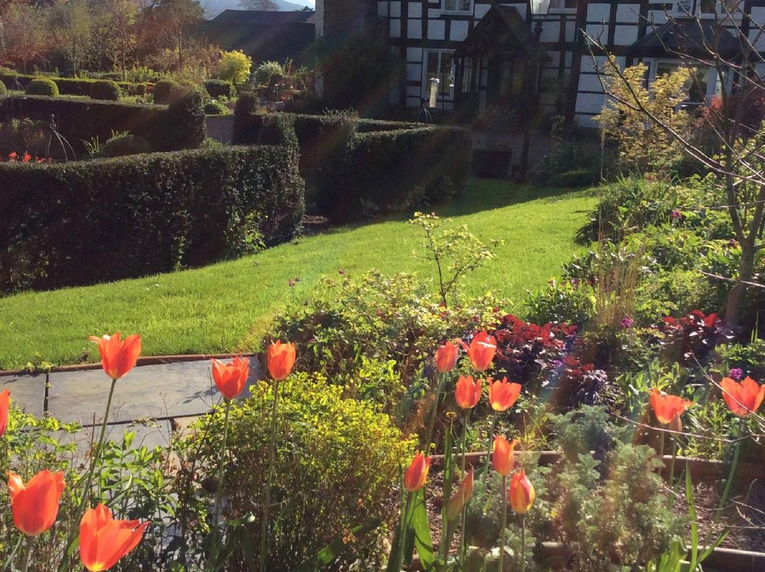 2025年7月Kinnersley旅游景点攻略-Kinnersley旅游住宿,-Kinnersley旅游美食-猫途鹰