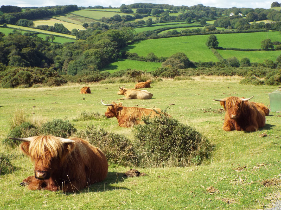 2025年12月Brentor旅游景点攻略-Brentor旅游住宿,-Brentor旅游美食-猫途鹰