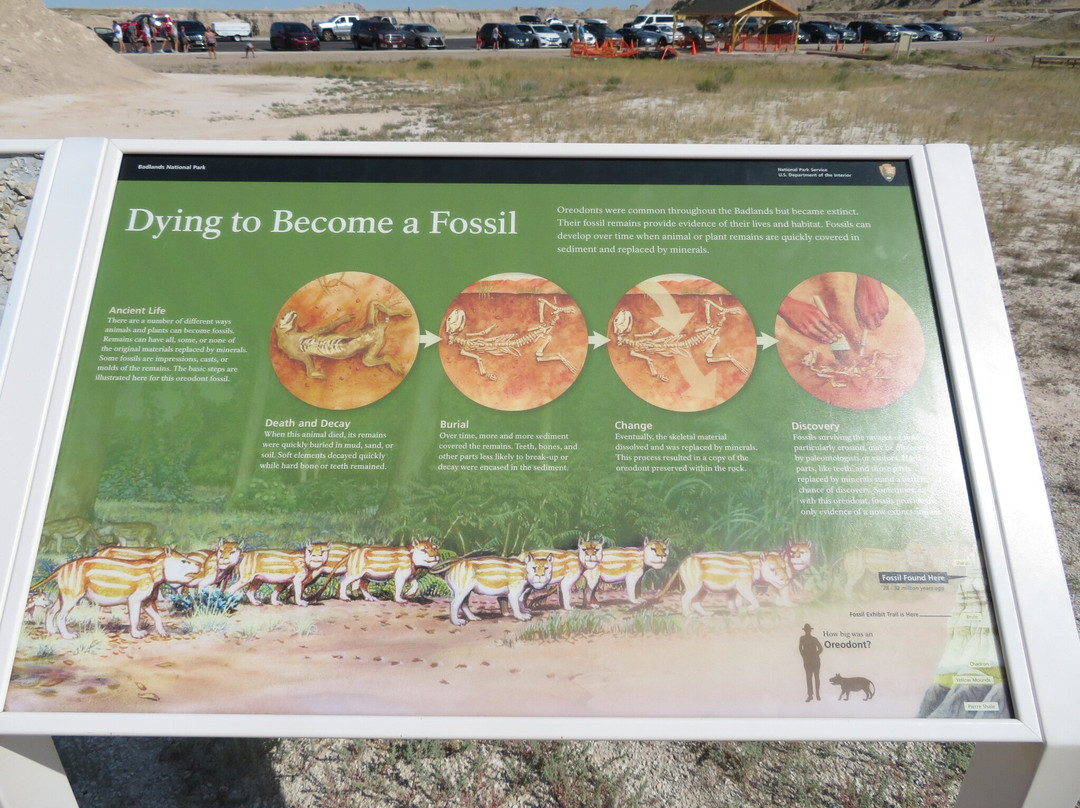 2024年9月Fossil Exhibit Trail景点攻略-Fossil Exhibit Trail门票预订|地址|图片-Fossil ...