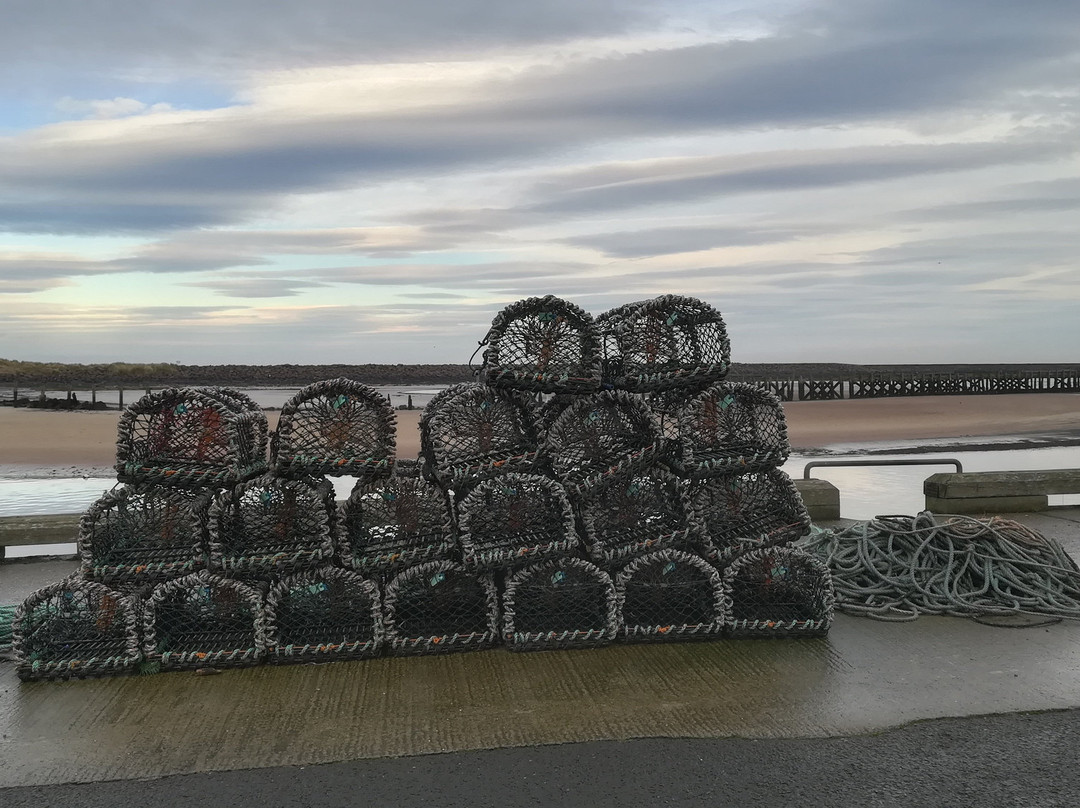 2025年2月Amble Harbour Village景点攻略-Amble Harbour Village门票预订|地址|图片-Amble ...