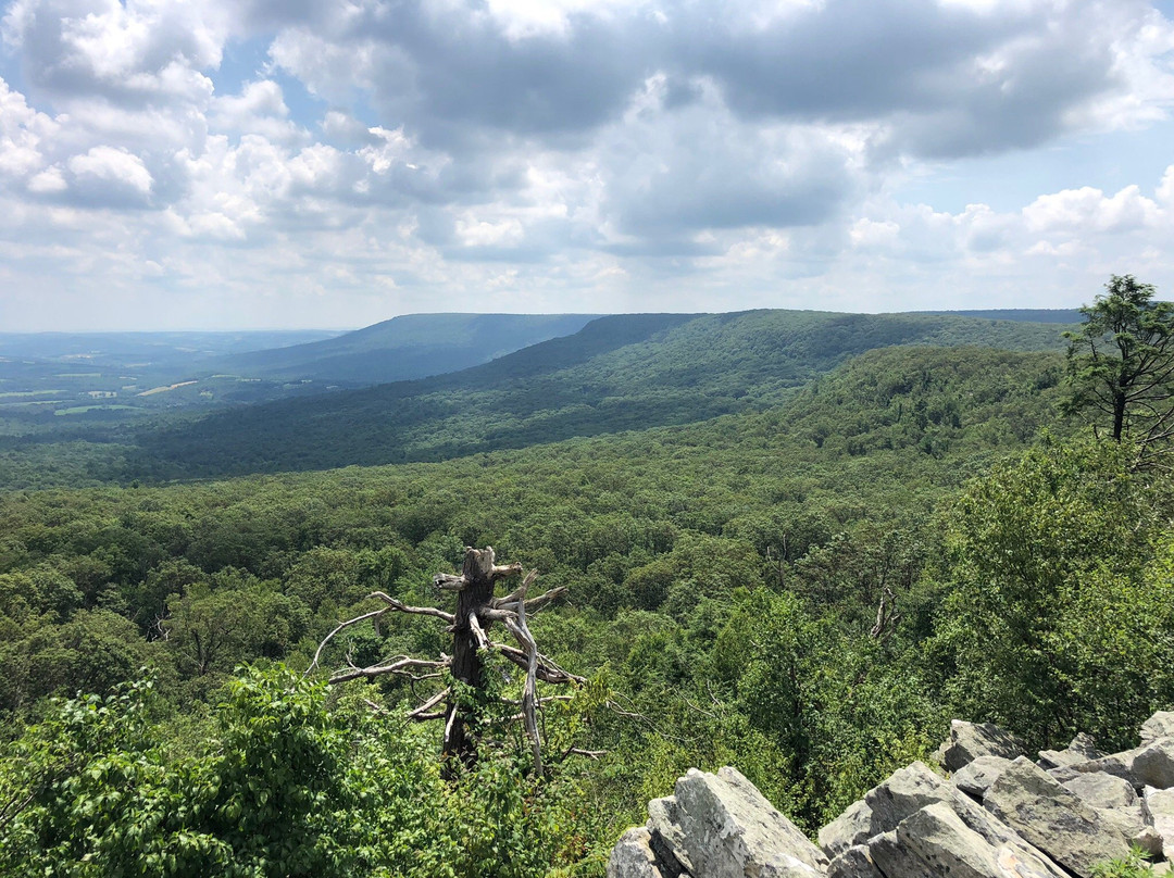 2024年11月Hawk Mountain Sanctuary景点攻略-Hawk Mountain Sanctuary门票预订|地址|图片 ...
