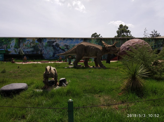 2025年1月Thunder World景点攻略-Thunder World门票预订|地址|图片-Thunder World景点点评-猫途鹰