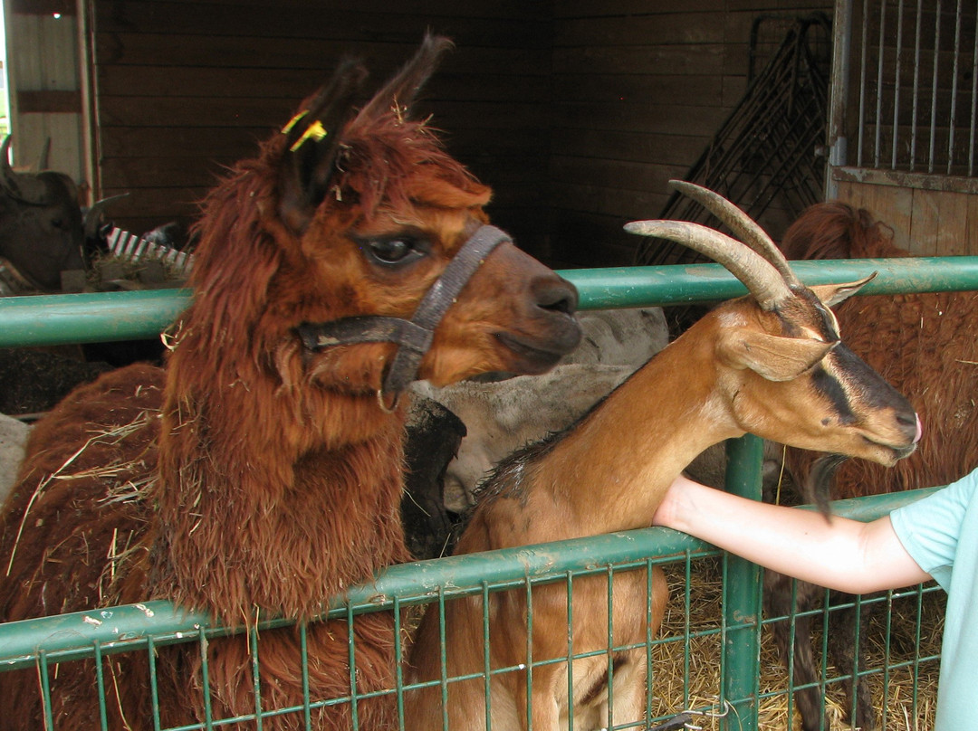 2023年12月Idle-Hour Ranch景点攻略-Idle-Hour Ranch门票预订|地址|图片-Idle-Hour Ranch景点 ...