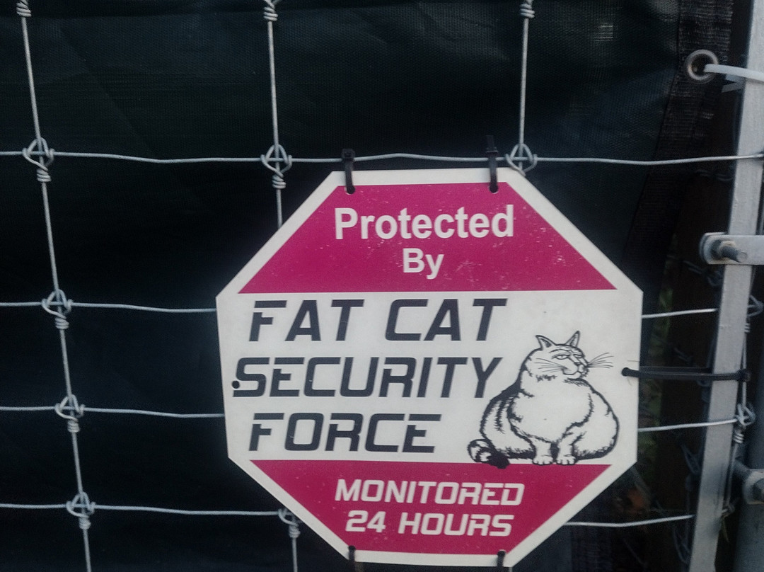 2023年11月Bear Creek Feline Center景点攻略-Bear Creek Feline Center门票预订|地址|图片 ...