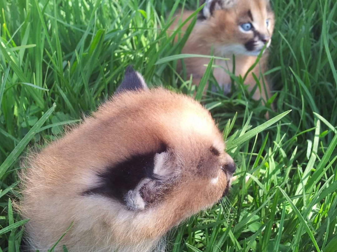2024年12月Lory Park景点攻略-Lory Park门票预订|地址|图片-Lory Park景点点评-猫途鹰