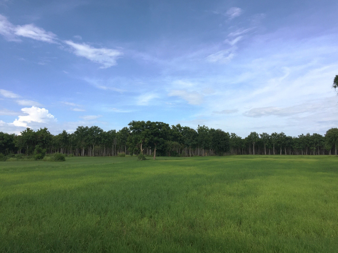 2024年9月Moung Ruessei旅游景点攻略-Moung Ruessei旅游住宿,-Moung Ruessei旅游美食-猫途鹰