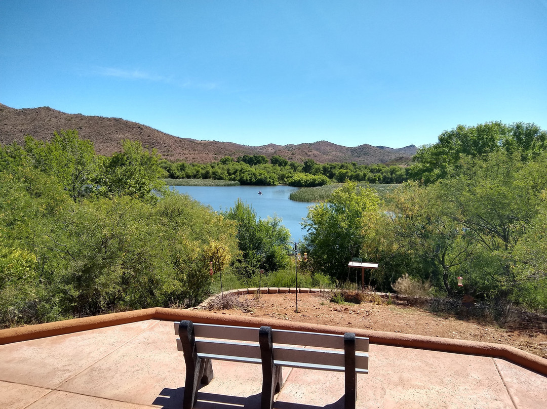 2024年7月Patagonia Lake State Park景点攻略-Patagonia Lake State Park门票预订|地址 ...