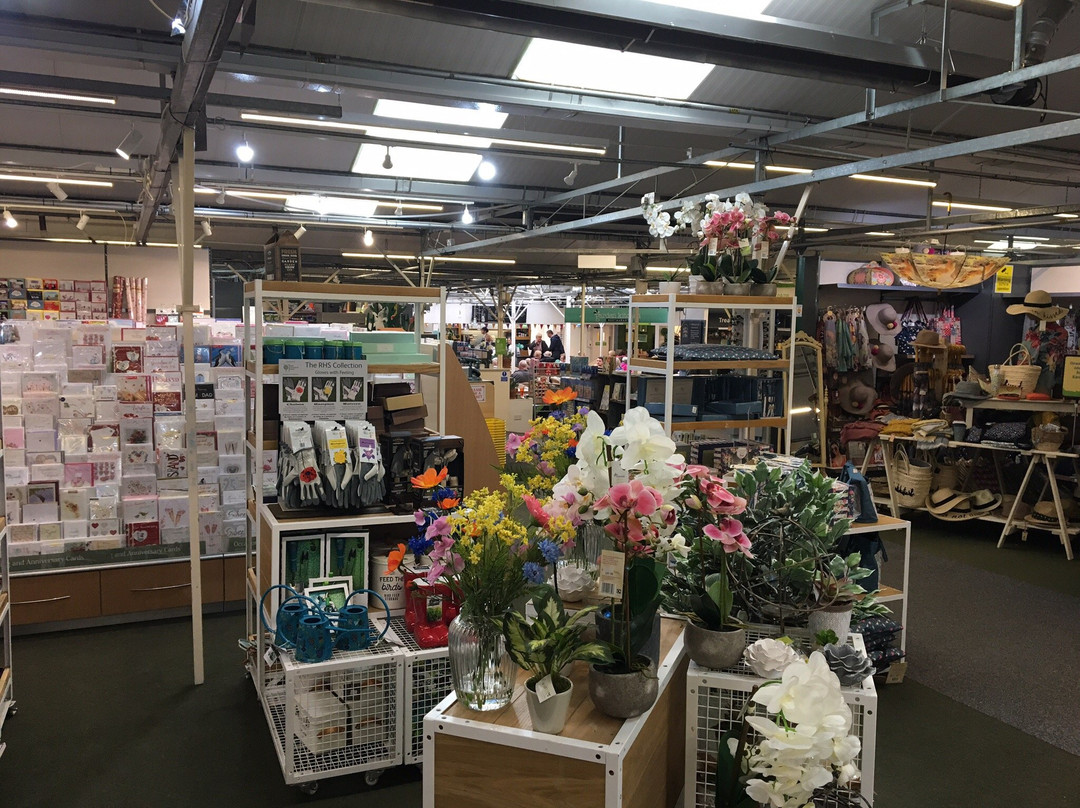 2025年6月Podington旅游景点攻略-Podington旅游住宿,-Podington旅游美食-猫途鹰