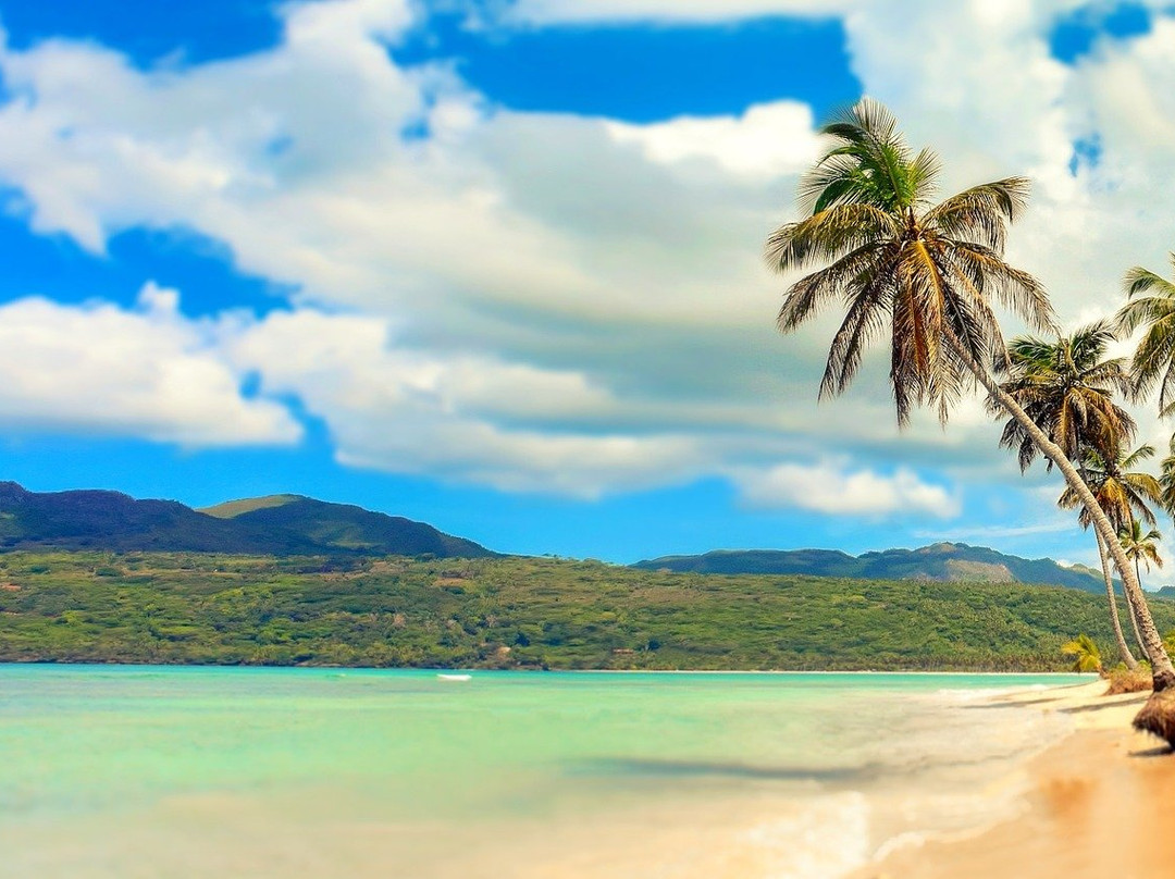 2023年11月Whale watching Samana - Humpback whales tour & Excursion景点攻略 ...