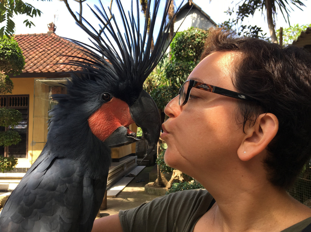 2025年3月Hidden Mini Zoo Bali景点攻略-Hidden Mini Zoo Bali门票预订|地址|图片-Hidden ...