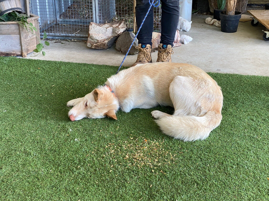 2024年7月The Funky Farm景点攻略-The Funky Farm门票预订|地址|图片-The Funky Farm景点点评-猫途鹰